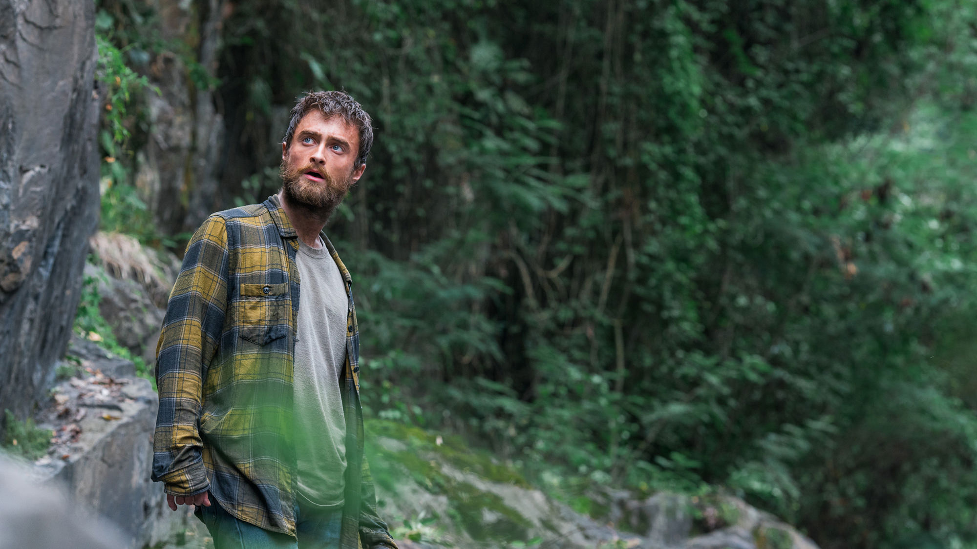 Jungle, se Harry Potter finisce nella giungla | HotCorn.com