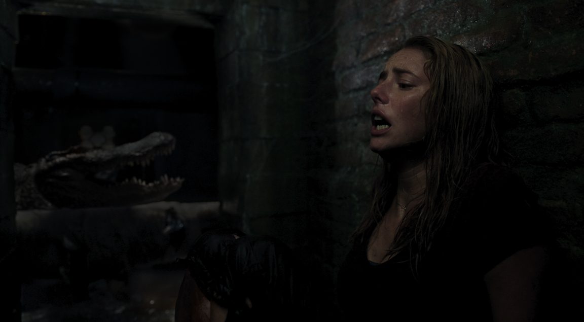 Crawl - Five reasons why we’re excited for Alexandre Aja's creature feature